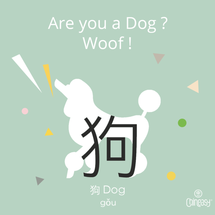 Chinese Zodiac: 12 Animals, Personality Traits and Cultural Aspect