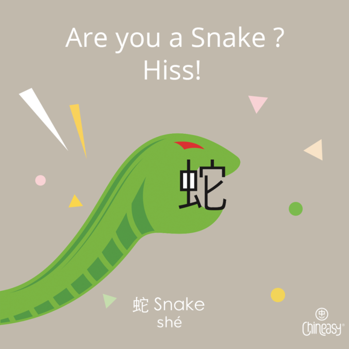 Chinese Zodiac: 12 Animals, Personality Traits and Cultural Aspect