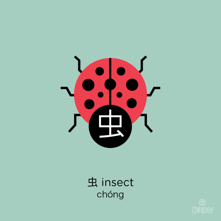 Blossom Your Mandarin Skills: 15 Must-Know Chinese Words for Spring ...