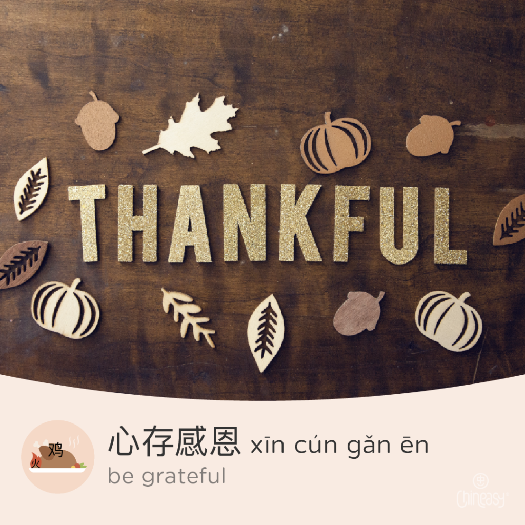 10 Key Chinese Phrases for Thanksgiving with Audio & Cultural Insights ...